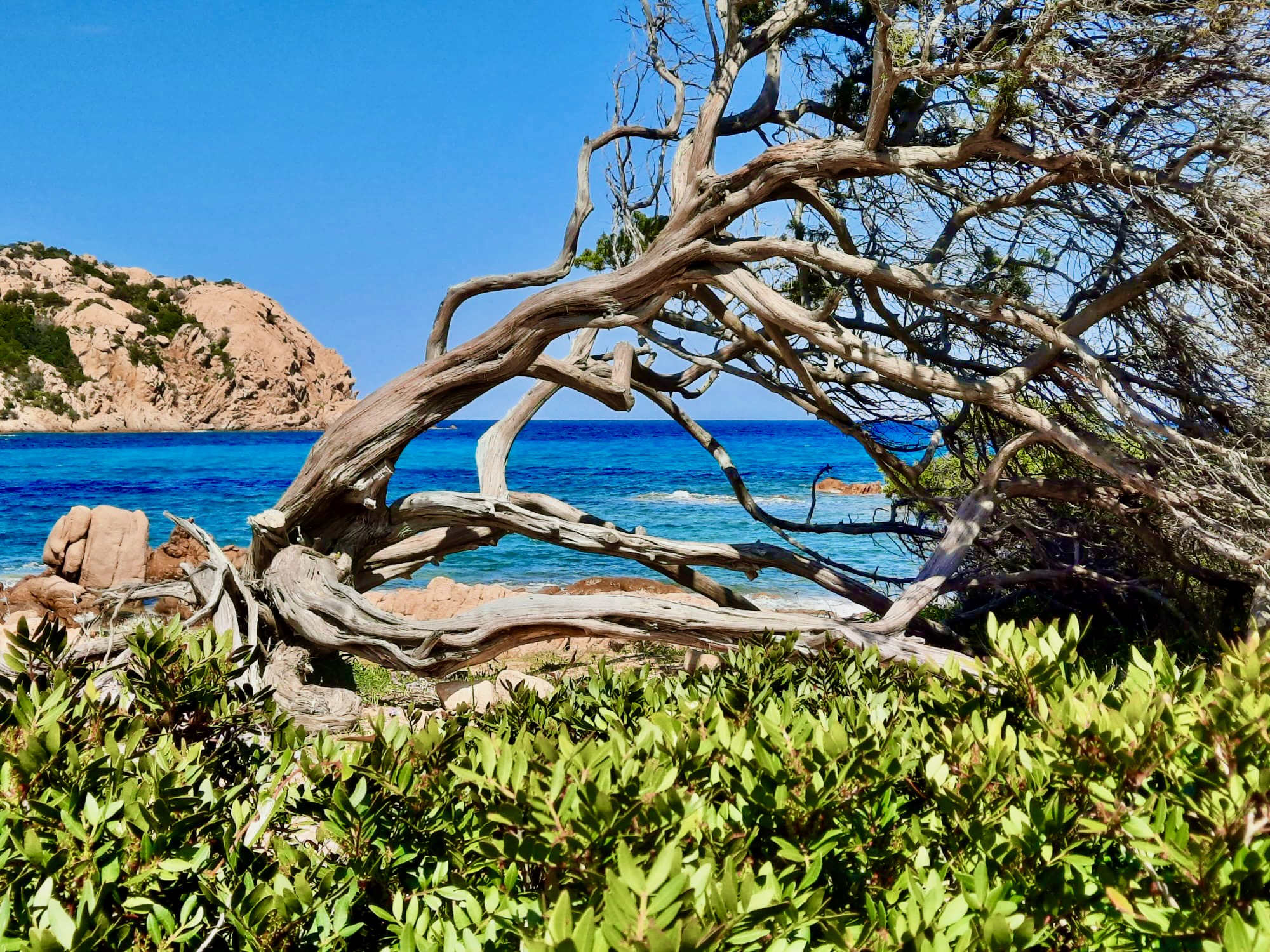 Soins avec les sangsues, hirudothérapie - Le Soleil Intérieur